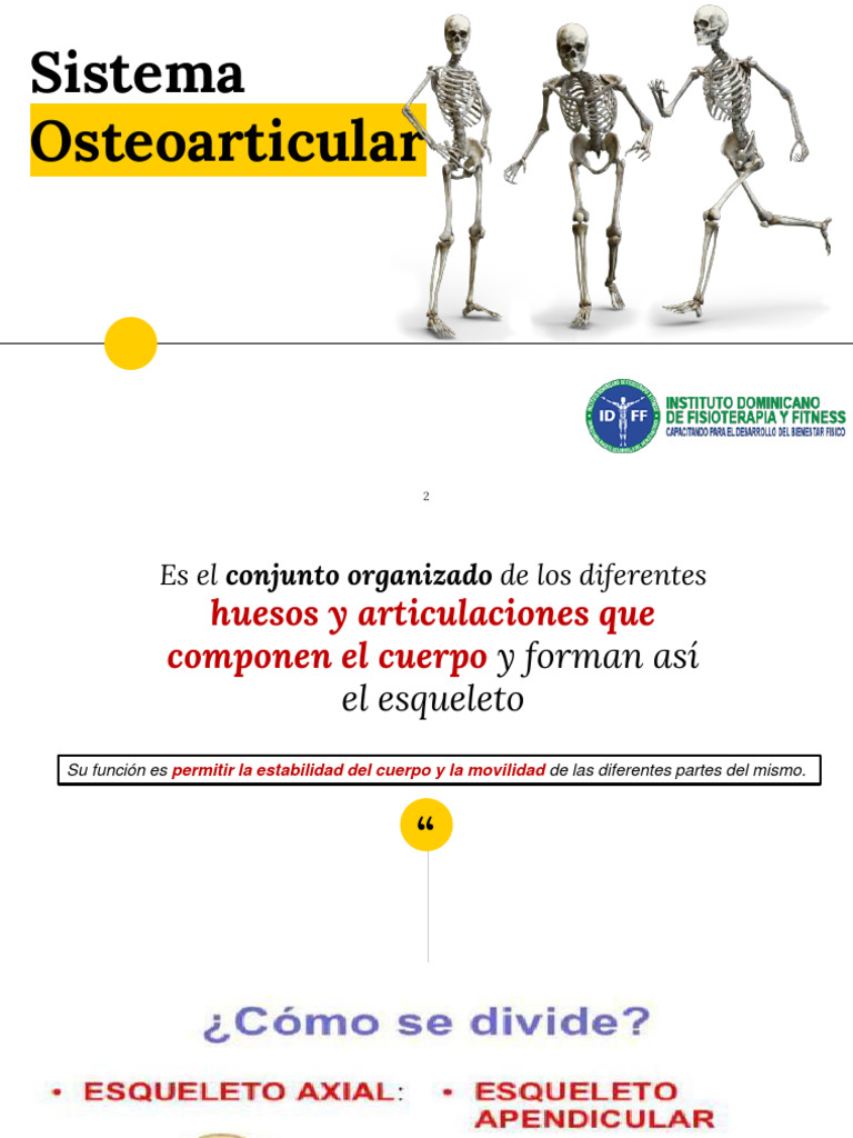 Sistema Osteoarticular | PDF | Articulación | Hueso