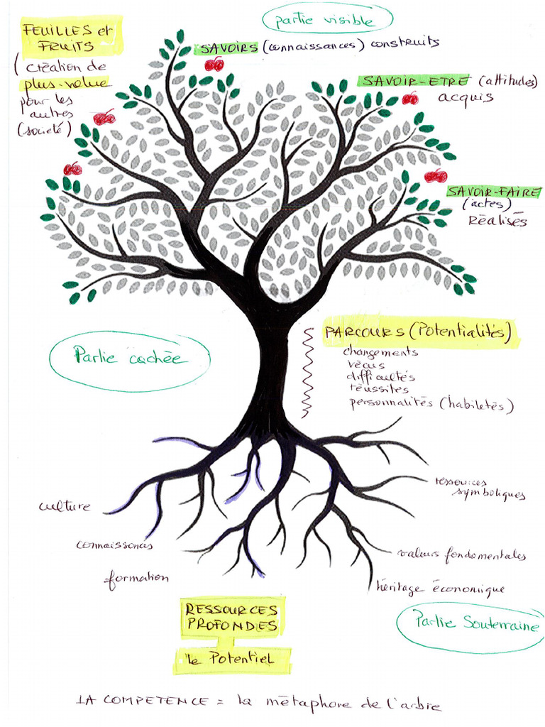 Compétences - Métaphore de L'arbre | PDF