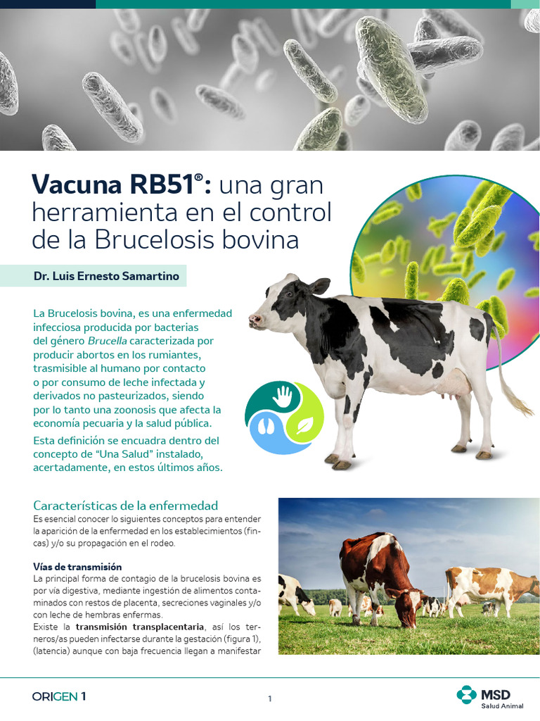 2 Vacuna RB51 | PDF