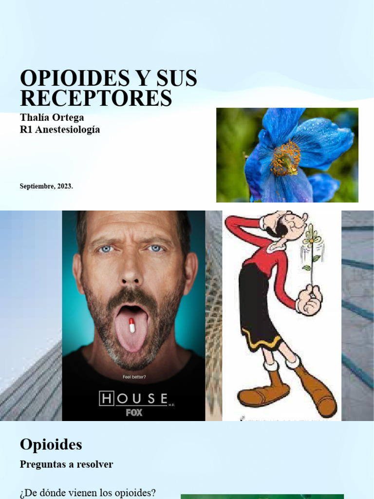 Opioides 1 Pdf Opioide Farmacocinética