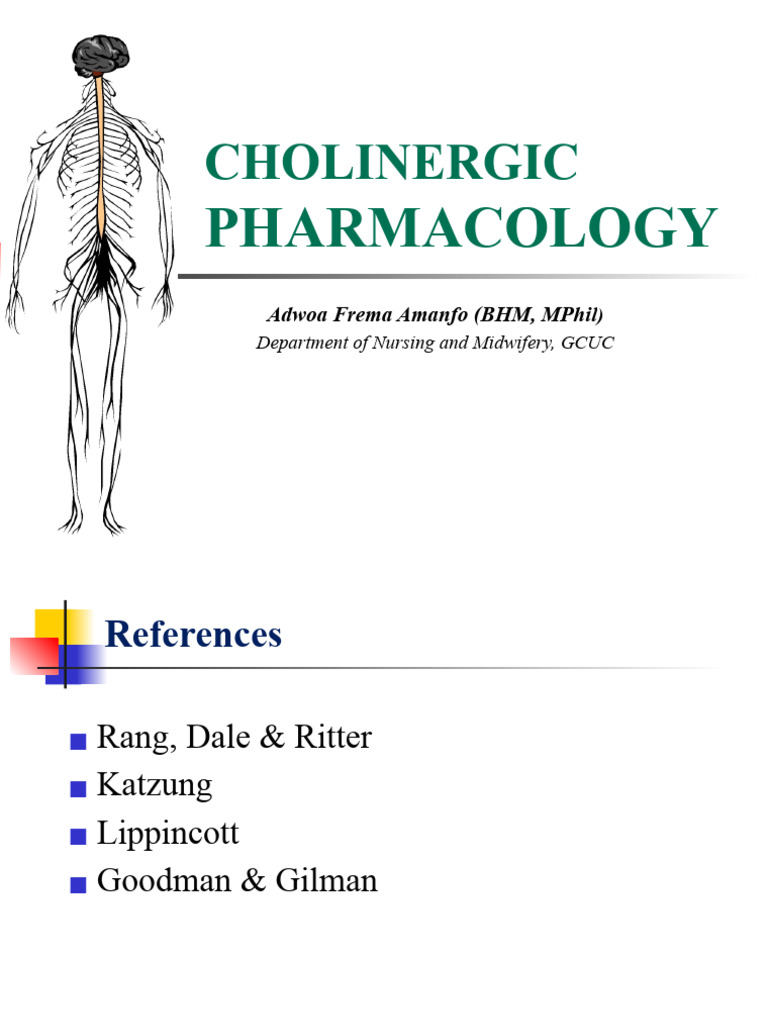 1-Cholinergic Pharmacology | PDF | Acetylcholine | Autonomic Nervous System