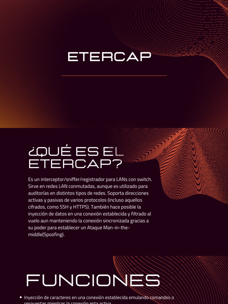 ETERCAP Cap2 | PDF | Dirección IP | Protocolos de internet