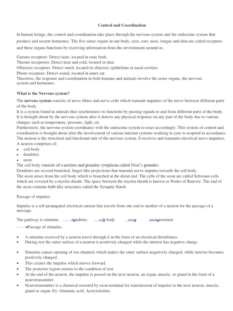 Control and Coordination... | PDF | Plant Hormone | Chemical Synapse