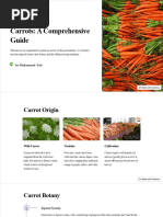 Carrot | PDF