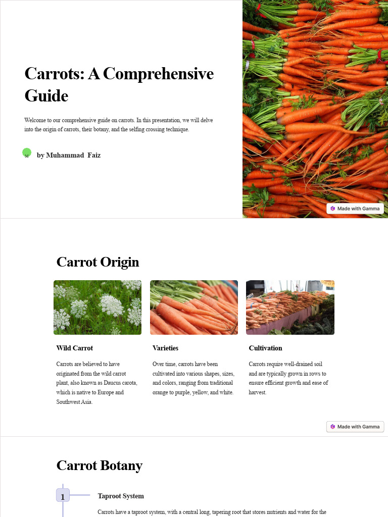 Carrots A Comprehensive Guide | PDF | Carrot | Flowers