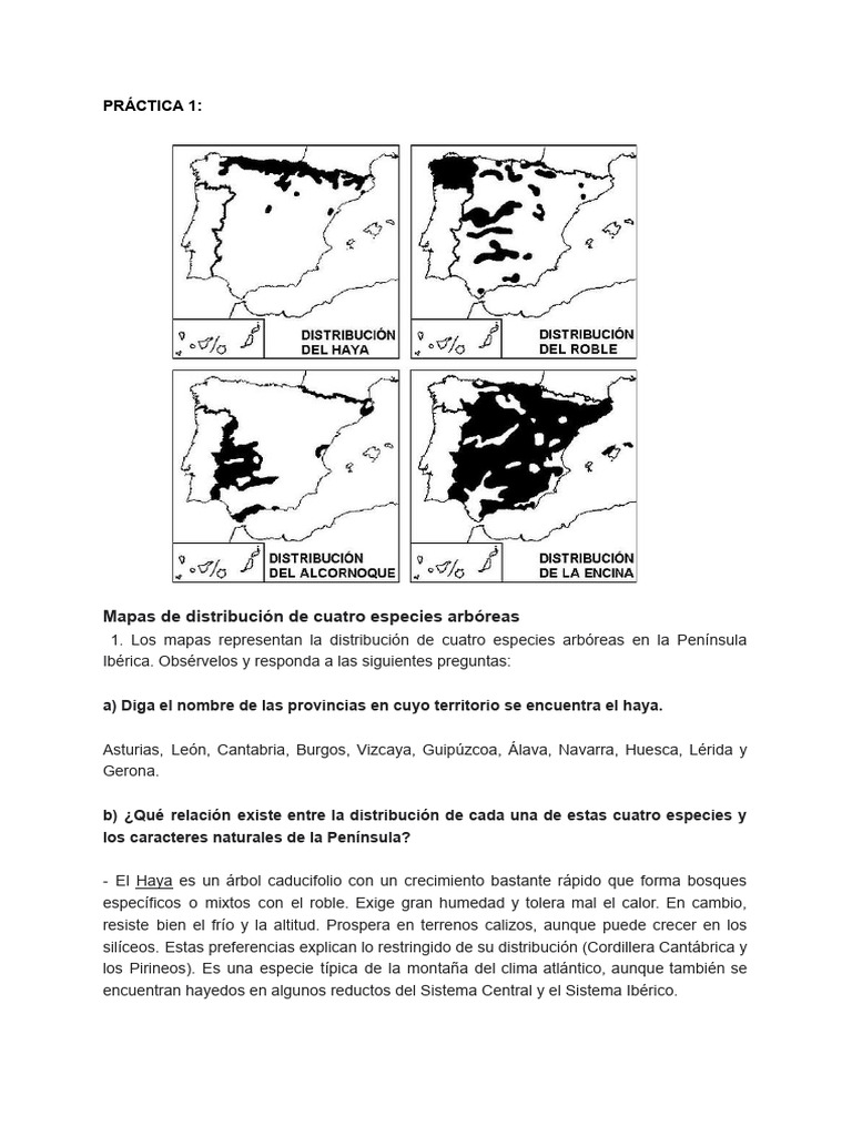 Práctica Geo T4. | PDF | Bellota | Península Ibérica