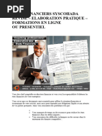 Plan Comptable SYCEBNL Excel | PDF | Comptabilité