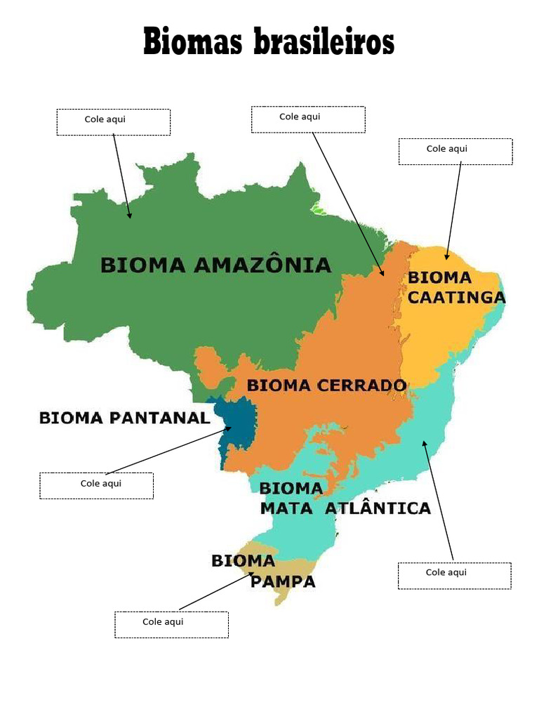 ANP 8 - 9º Ano - Biomas Brasileiros - ATIVIDADE INTERATIVA - 2 Páginas ...