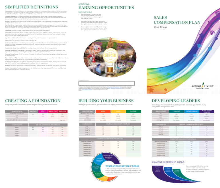 63ee6d15810ca - Yl Sales Compensation Plan Highlights Flyer | PDF | Economies | Business