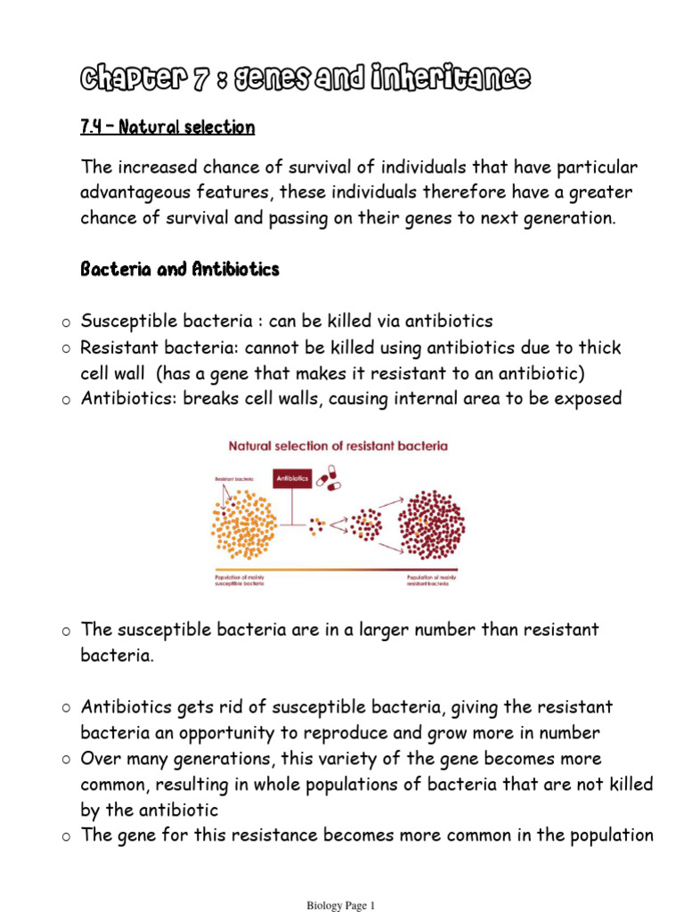Chapter 7 Genes and Inheritance | PDF