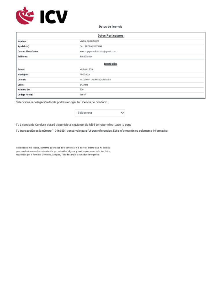 Instituto de Control Vehicular | PDF