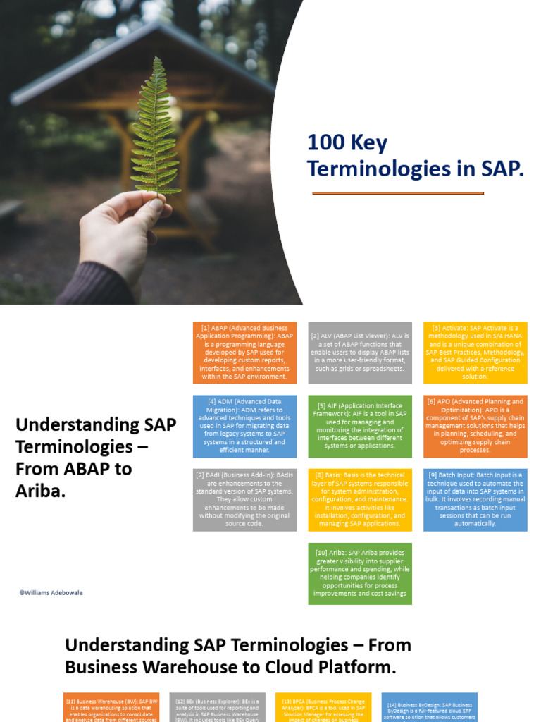 SAP Terminology Guide for Professionals | PDF | Enterprise Resource Planning | Cloud Computing