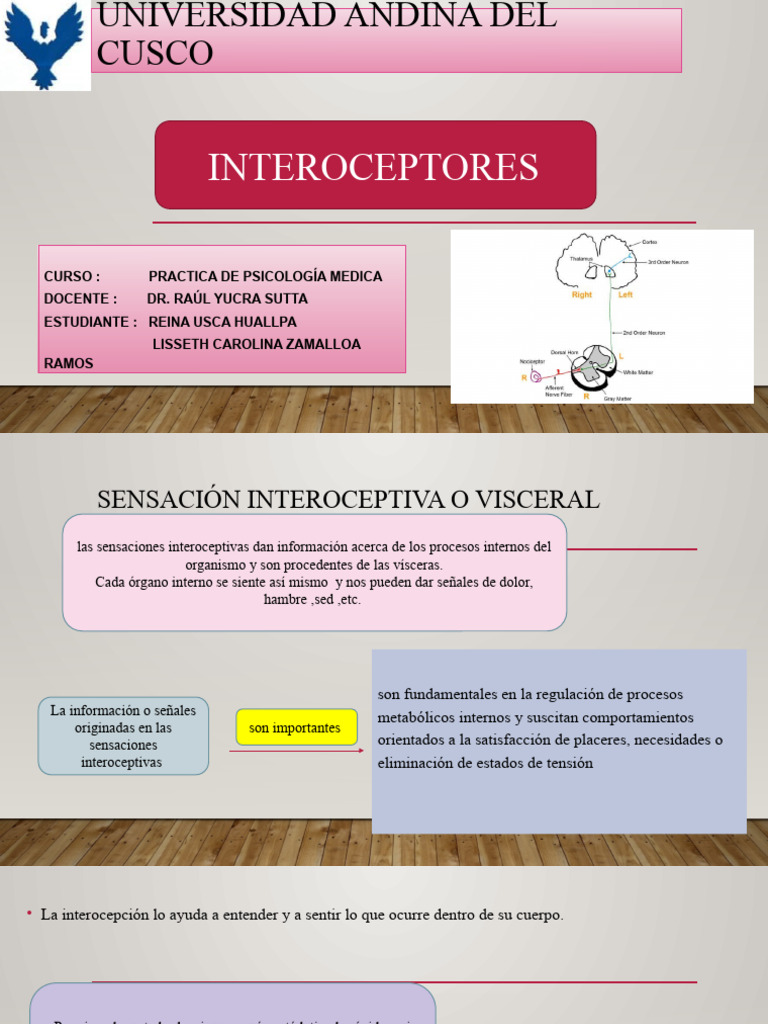 Interoceptivo | PDF | Aorta | Fisiología