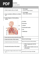 Year 8 Science Exam Practice 2016 | PDF | Chemical Substances | Rock ...