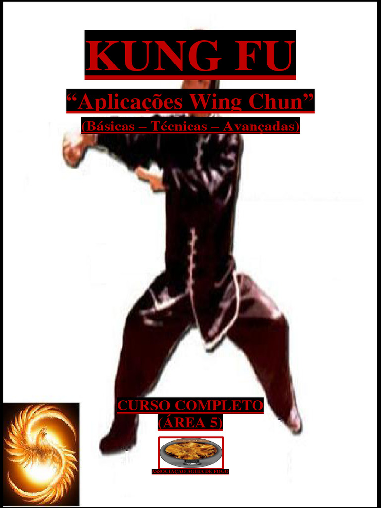 Tecnicas Marciais-Vol 3-Aplicações Do Wing Chun | PDF | Wing Chun ...
