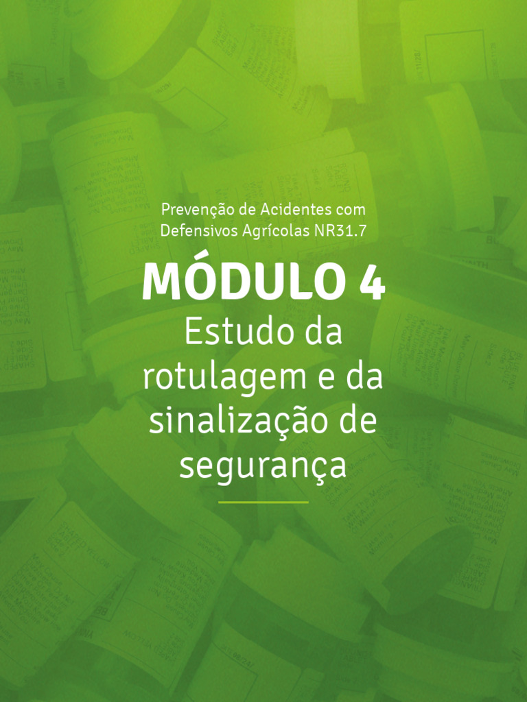 RIS2 Modulo04 | PDF