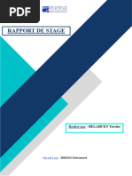 Essai Au Bleu de Methylene (NF | PDF