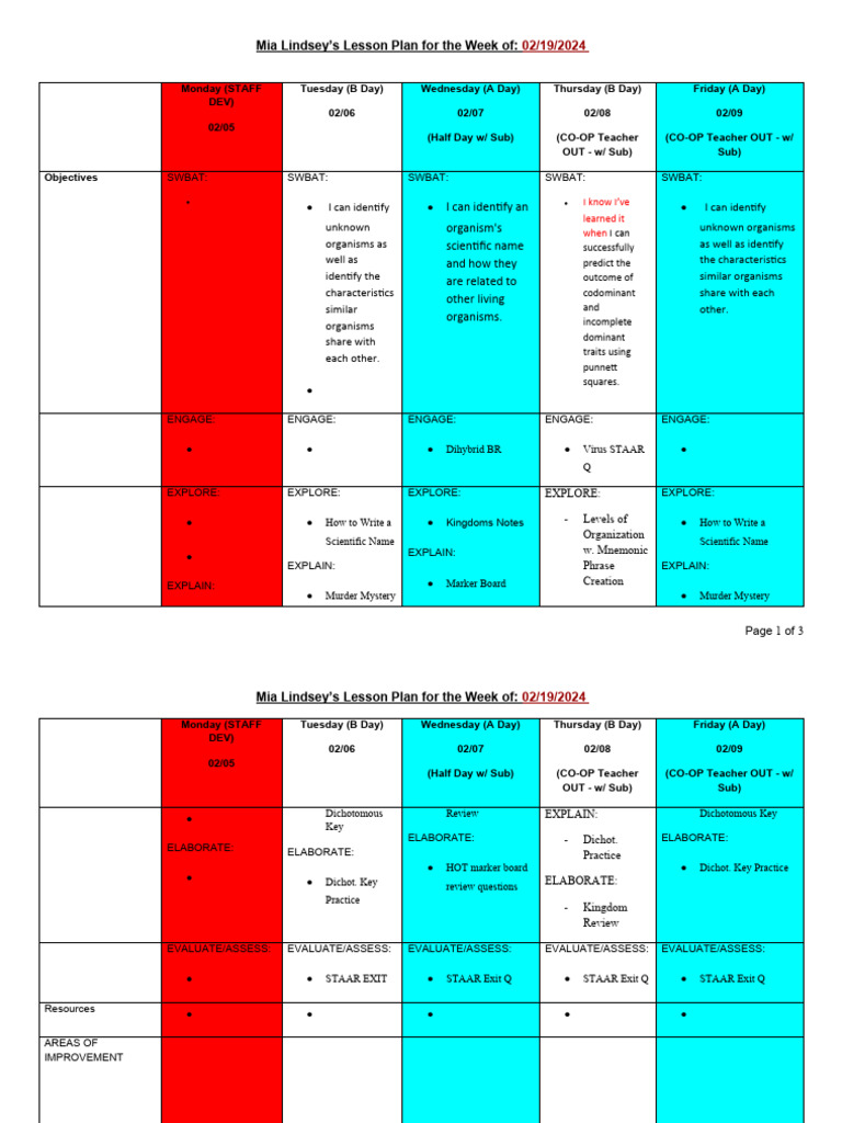 At Lesson Plan 02 12 2024 1 1 | PDF | Cognition | Behavior Modification