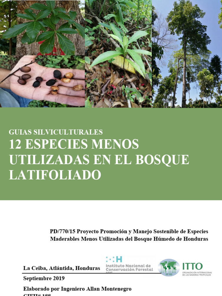 Guias Silviculturales de 12 Especies Menos Utilizadas en El Bosque Latifoliado de La Zona Norte ...