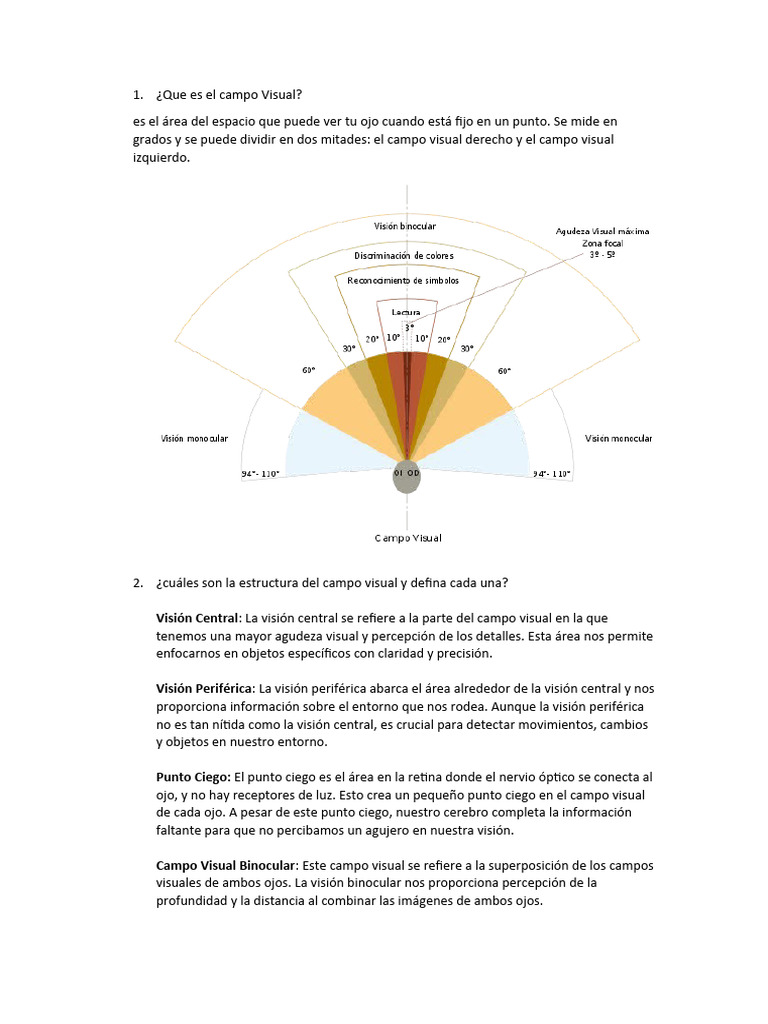 Que Es El Campo Visual | PDF | Percepción visual | Ojo