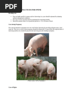 Understanding Draught Animals' Roles | PDF | Agriculture | Animals And ...