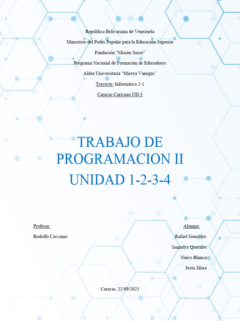 Trabajo de Programacion Ii | PDF | Lenguaje de modelado unificado | Objeto (informática)
