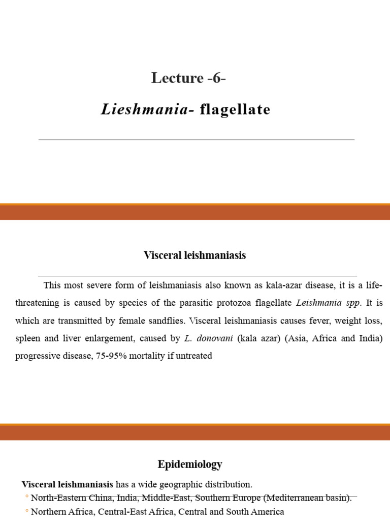 Parasitology Lec 6 | PDF | Leishmania | Immunology