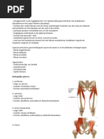 Processus Styloideus Ulnae - Wikipedia | PDF