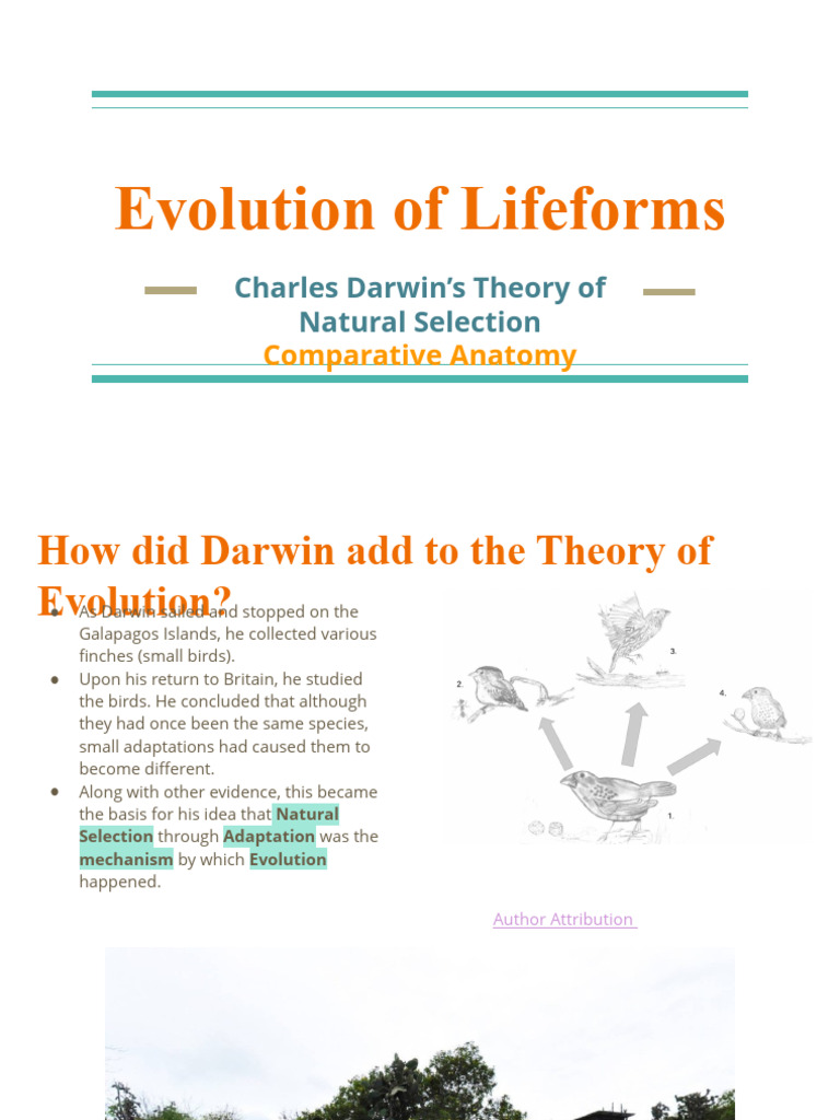 Evolution of Lifeforms & Natural Selection (M) | PDF | Evolution | Genotype