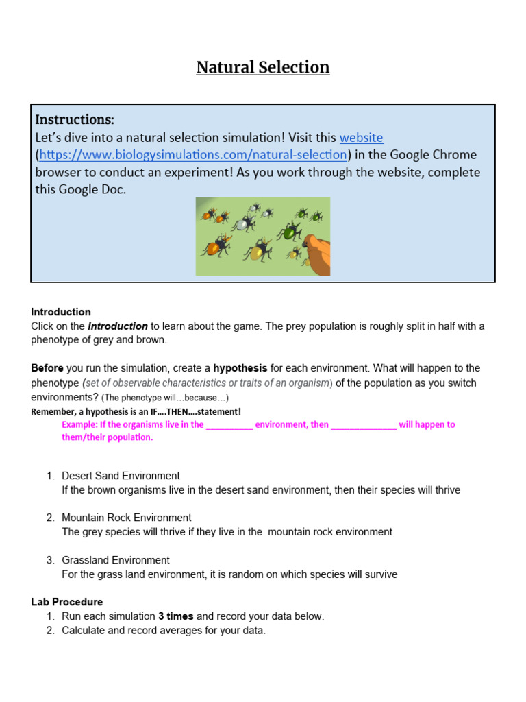 Natural Selection Simulation Guide | PDF | Teaching Methods & Materials ...
