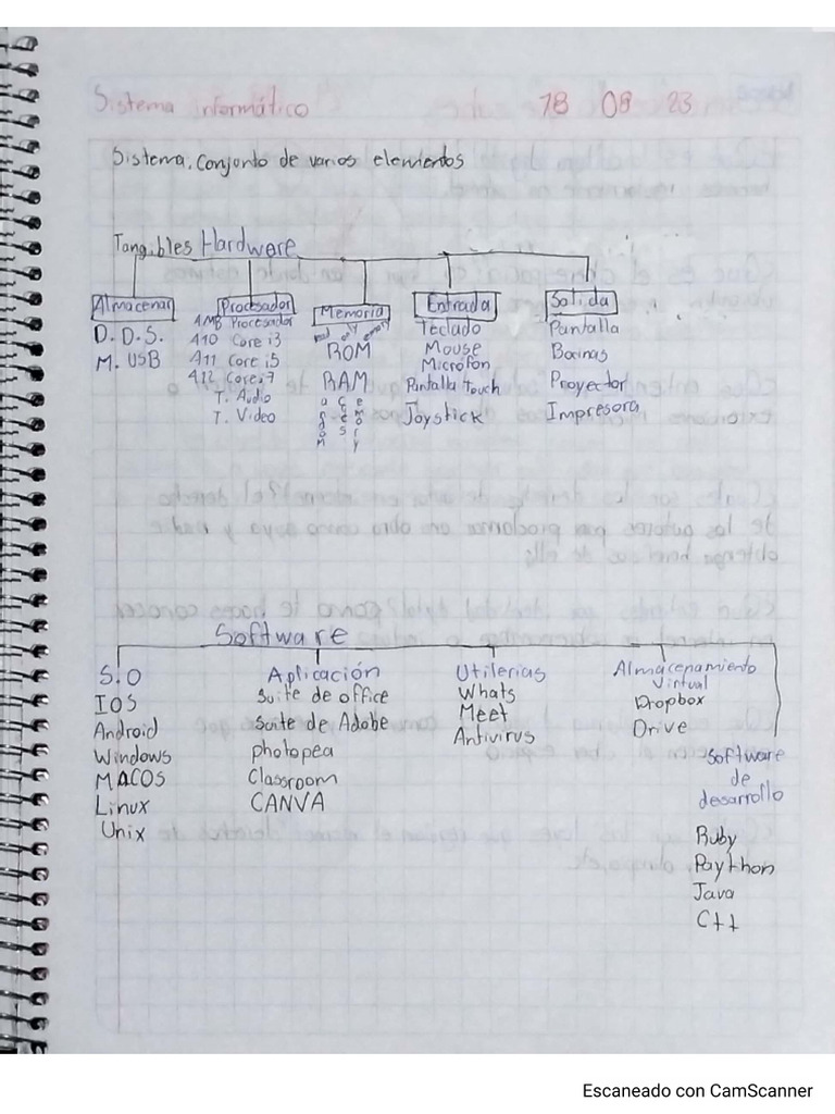 A1P1 | PDF