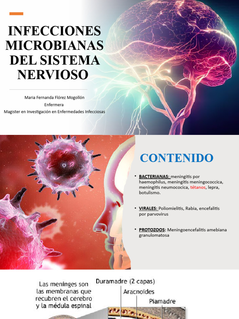 3 - Infecciones Microbianas Del Sistema Nervioso | PDF | Meningitis ...