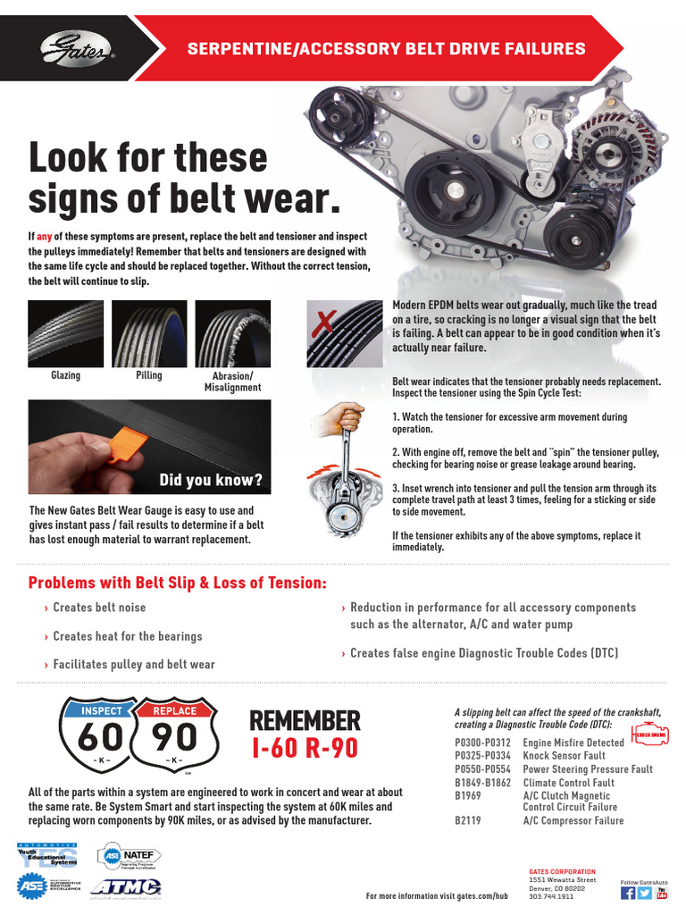 428-1746 Understanding ABDS Poster | PDF | Belt (Mechanical ...