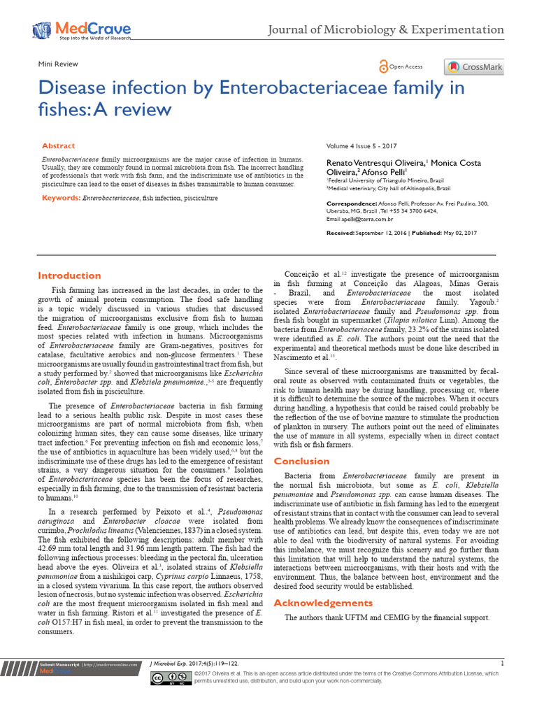 Disease Infection by Enterobacteriaceae Family in Fishes: A Review ...