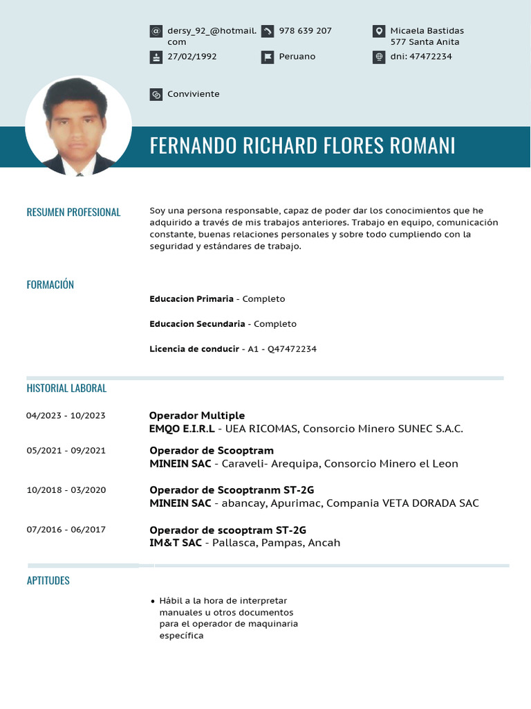 Cv-Flores Romani Richard | PDF