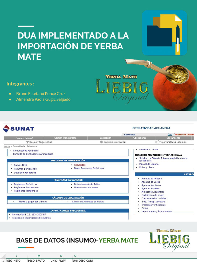 DUA para Importación de Yerba Mate | PDF