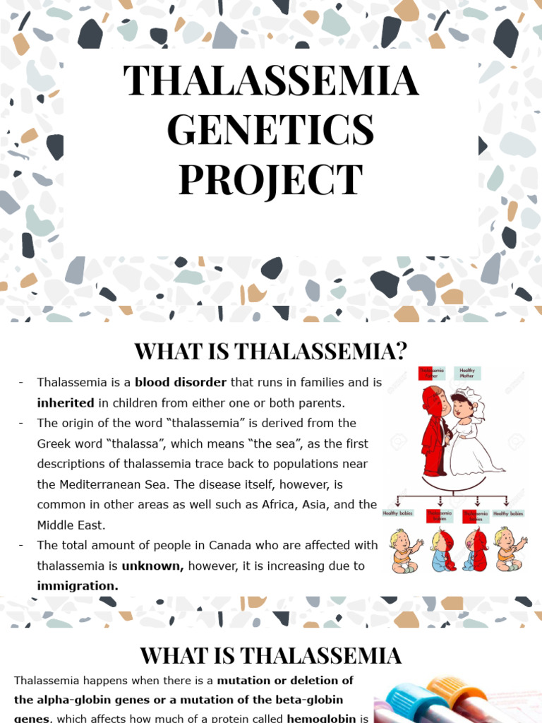 Thalassemia Genetics Project SBI3U | PDF | Genetic Disorder | Medical Genetics