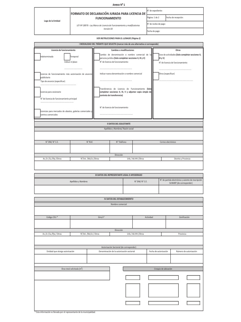 Declaración Jurada Lic. Func. | PDF