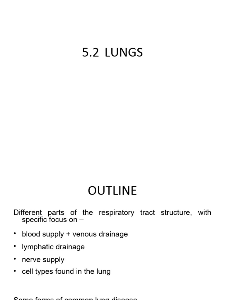 5.2 Lungs f2f-s1b2-23 | PDF | Lung | Respiratory Tract