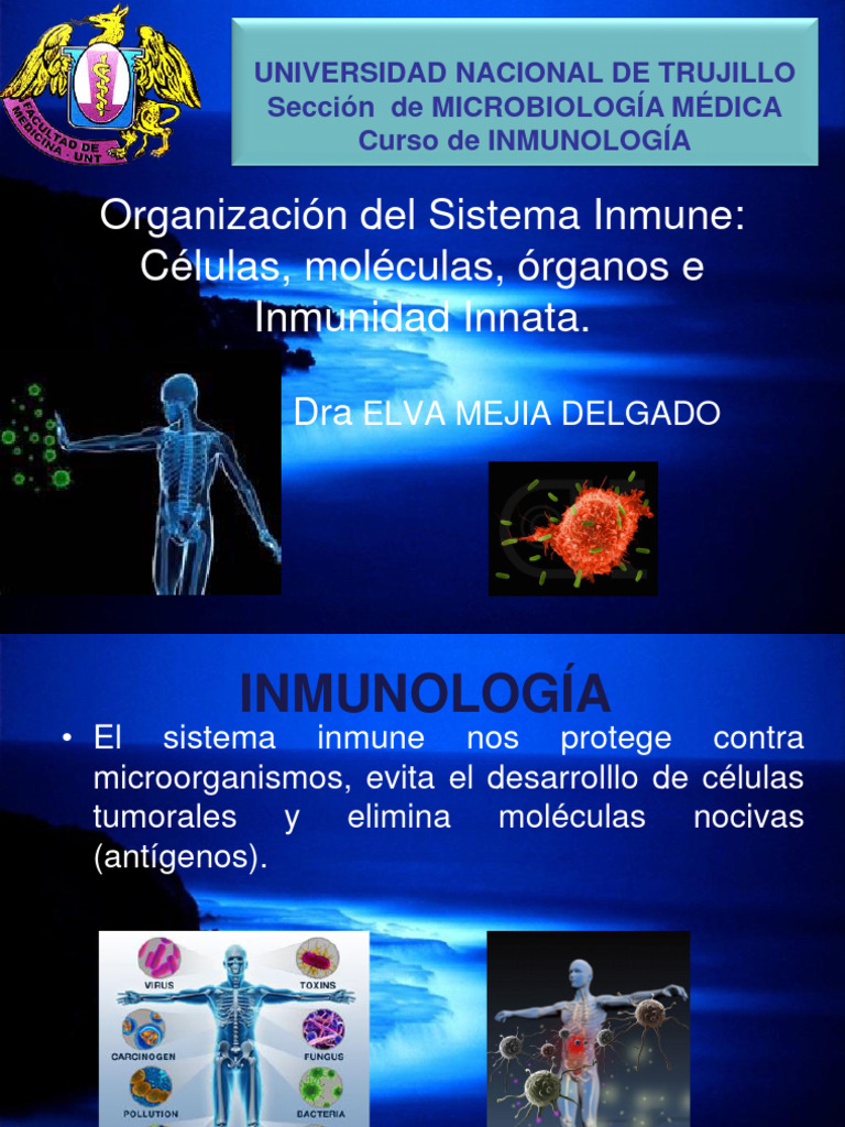 T.1.2 - Organización Del Sistema Inmune. Dra. Elvita | Descargar gratis PDF | Sistema inmune ...