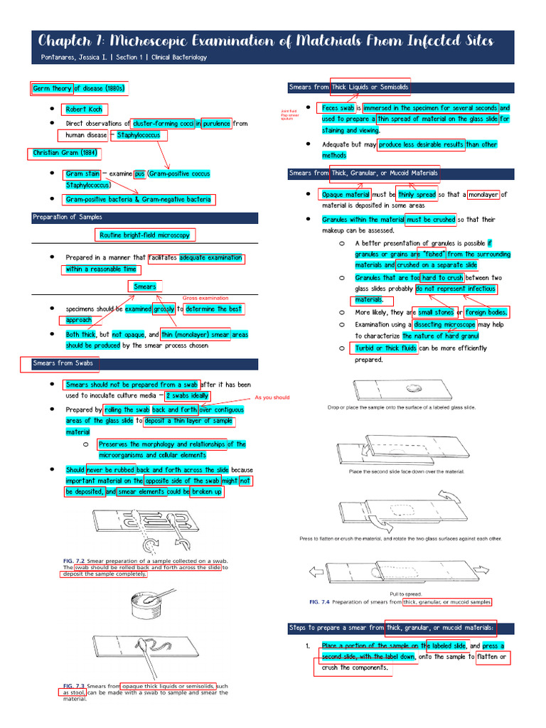 Chapter 7 (Bacte) | PDF | Staining | Infection