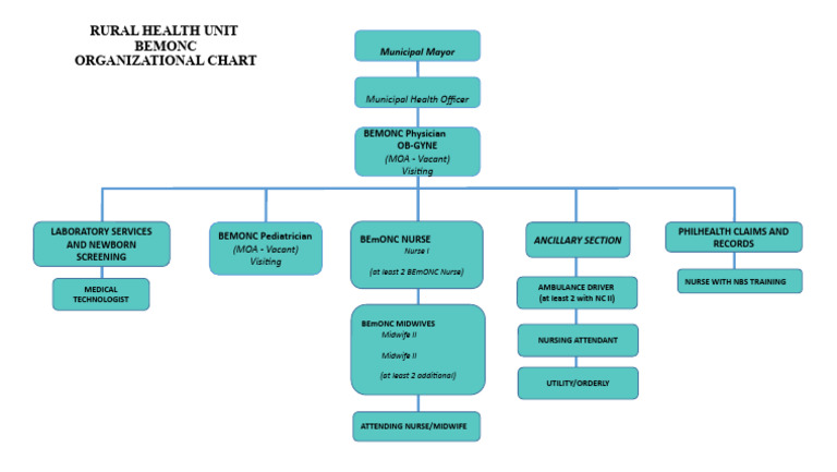 Rural Health Unit Organizational Chart | PDF