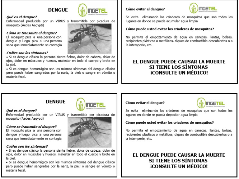 Folleto Dengue | PDF