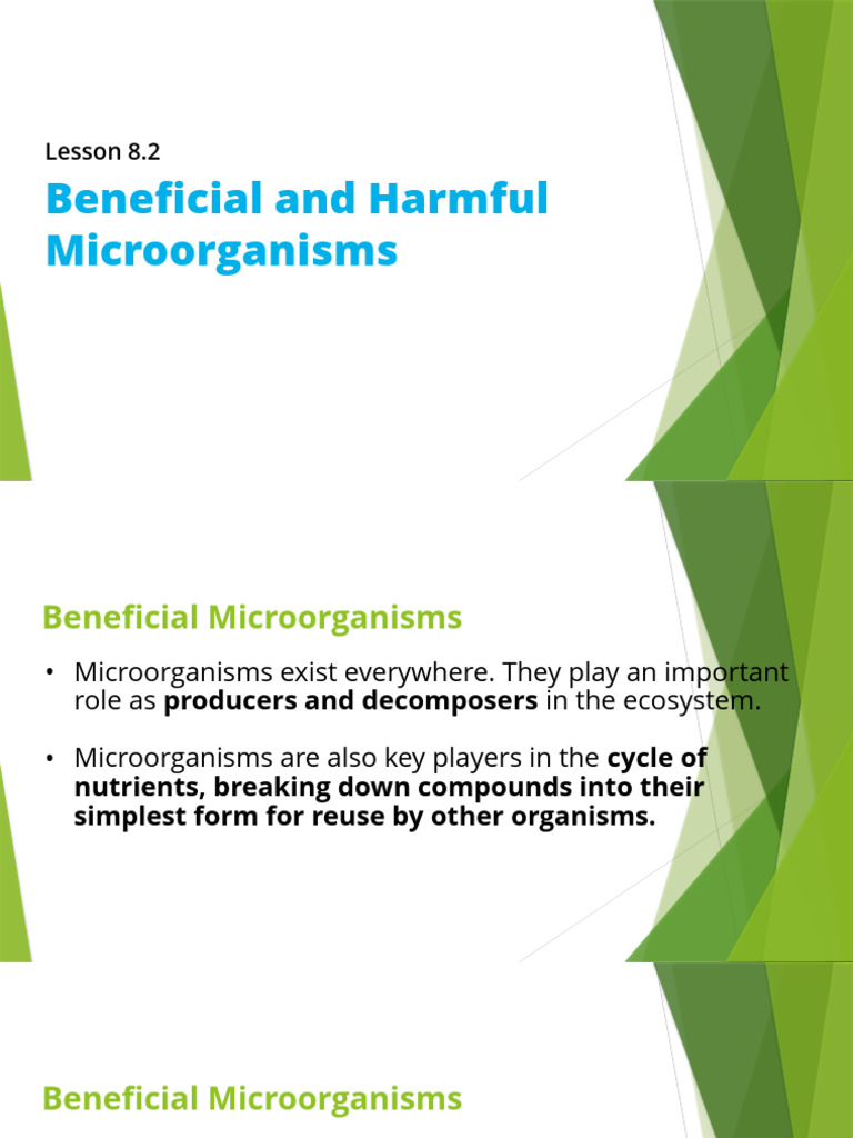 Grade 7 8.2 Beneficial and Harmful Microorganisms | PDF