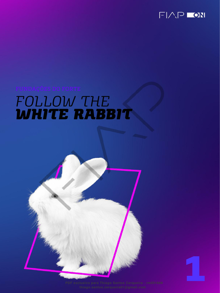 Follow The White Rabbit | PDF | Segurança de computadores | Segurança