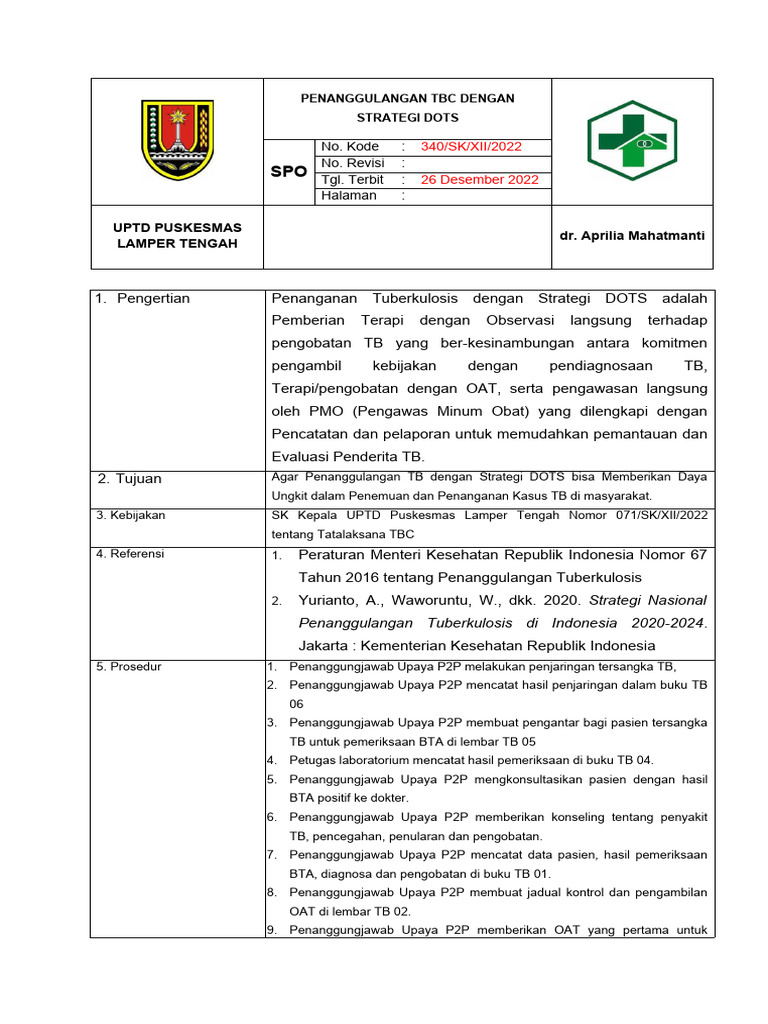 Penanggulangan TBC dengan Strategi DOTS | PDF