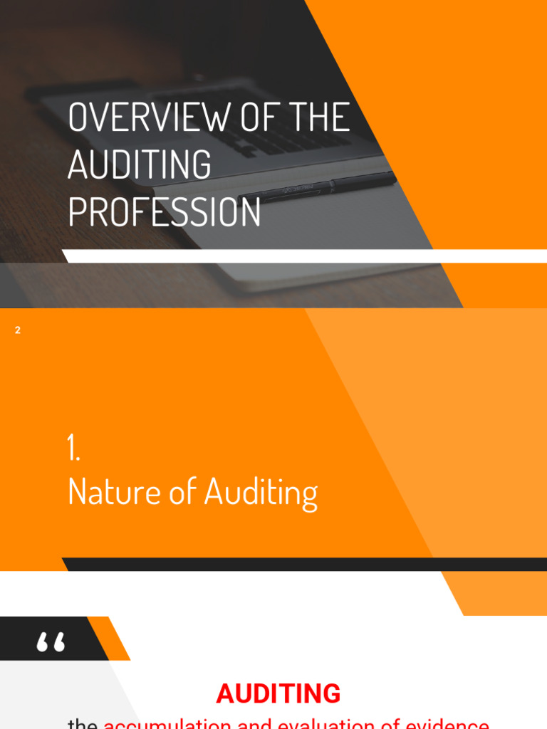 1 Overview of The Auditing Profession | PDF | Audit | Financial Audit