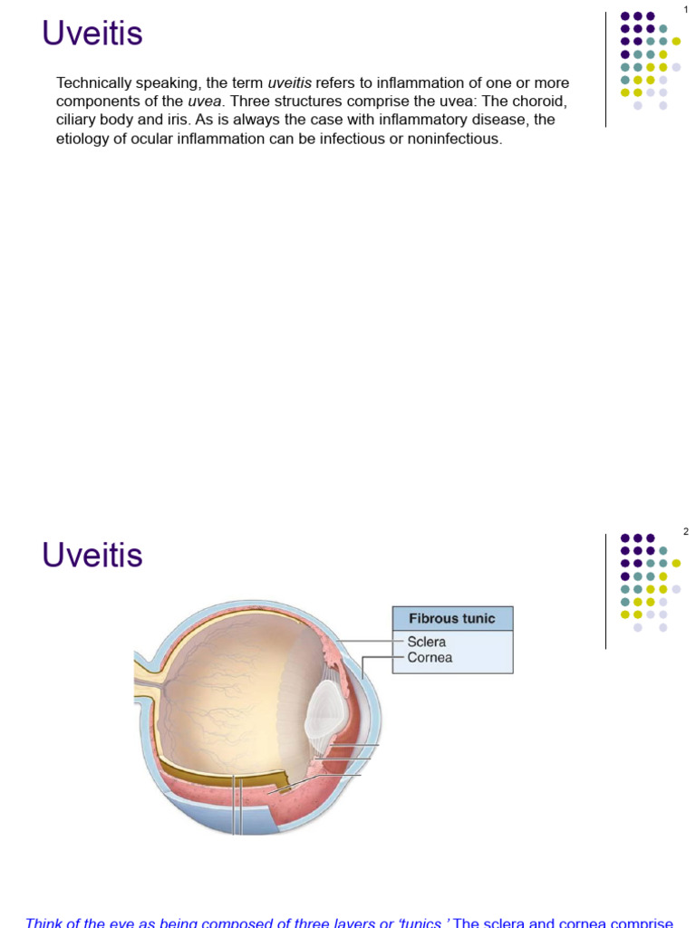 Uveitis | PDF | Human Eye | Clinical Medicine