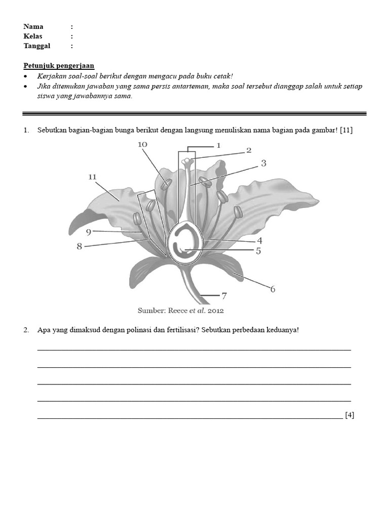 LKPD Perkembangbiakan Tumbuhan | PDF