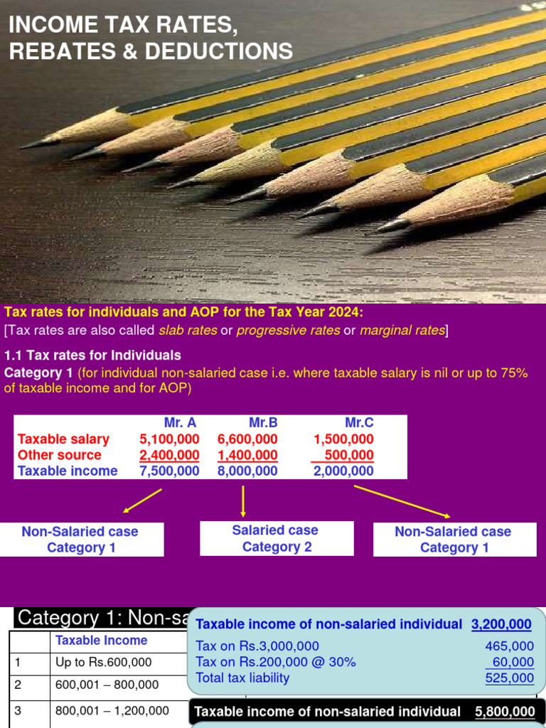 02 Rebates | PDF | Taxes | Tax Credit